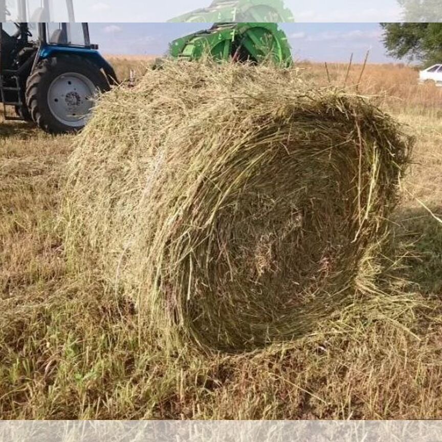 Сено в рулонах