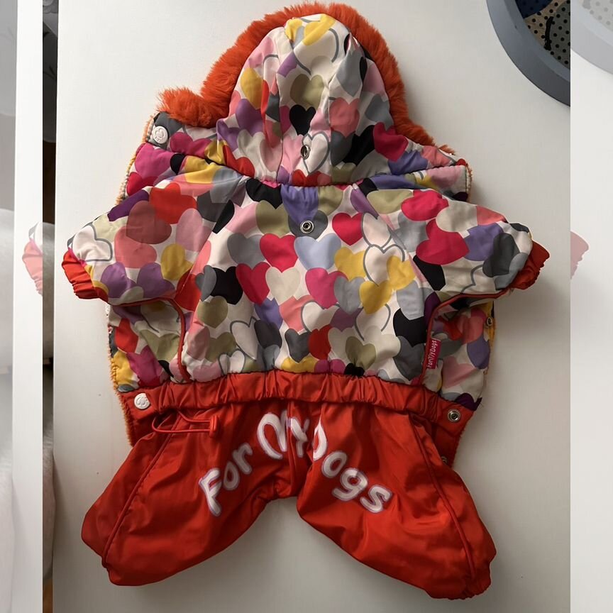 Одежда для собак