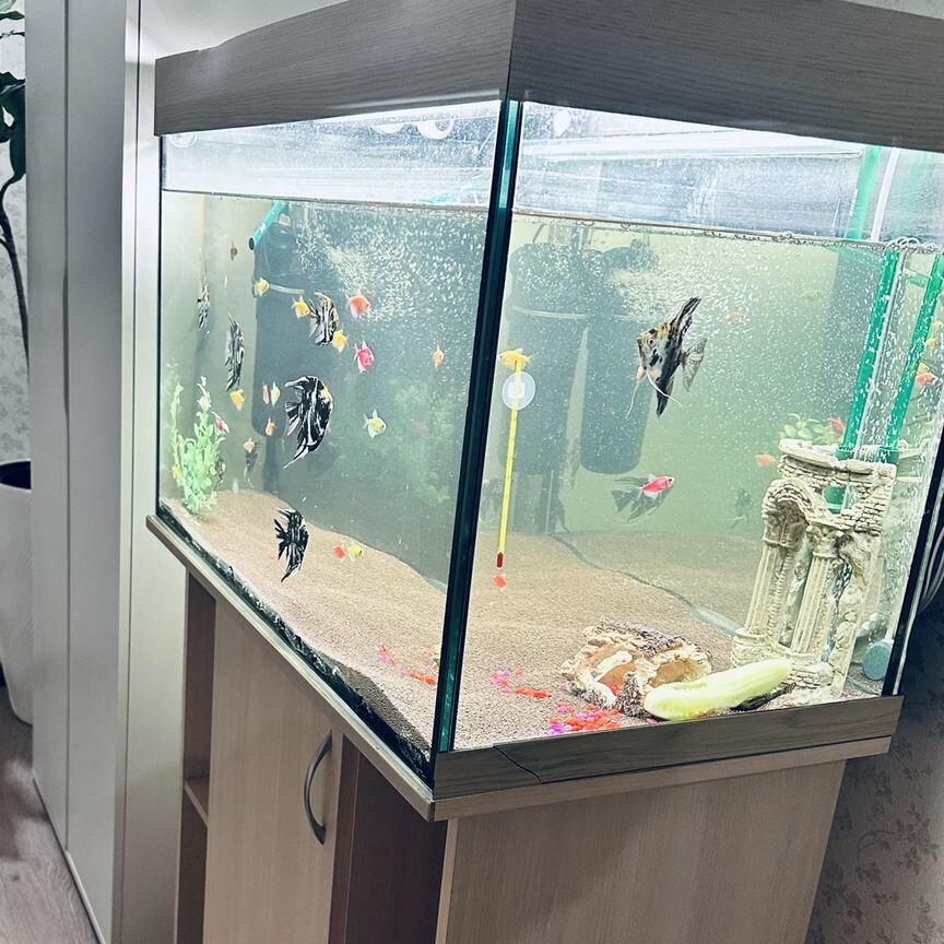 Аквариум с тумбой 200л