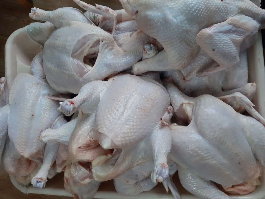 Гусь рождественский, на Новый год (домашнее мясо)