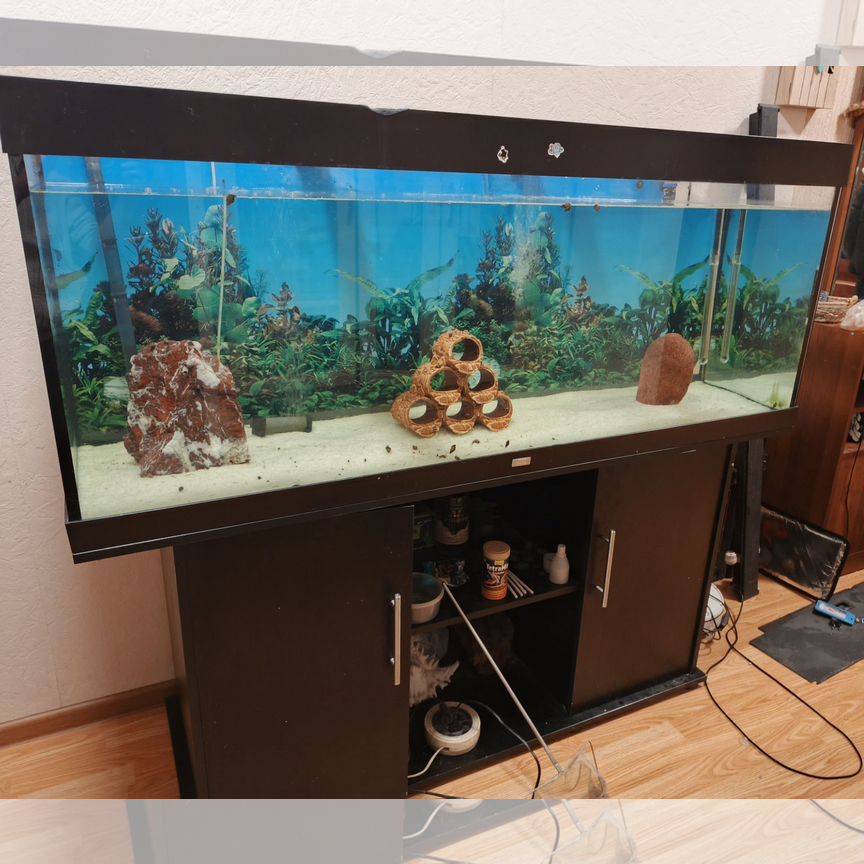 Аквариум с тумбой 300 литров
