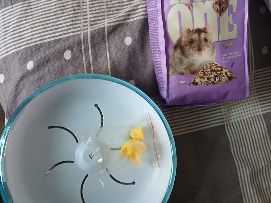 Колесо для хомяка 21 см и корм