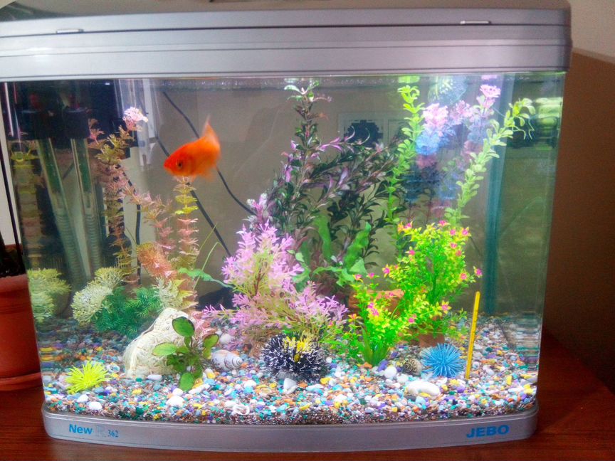 Аквариум Jebo r362