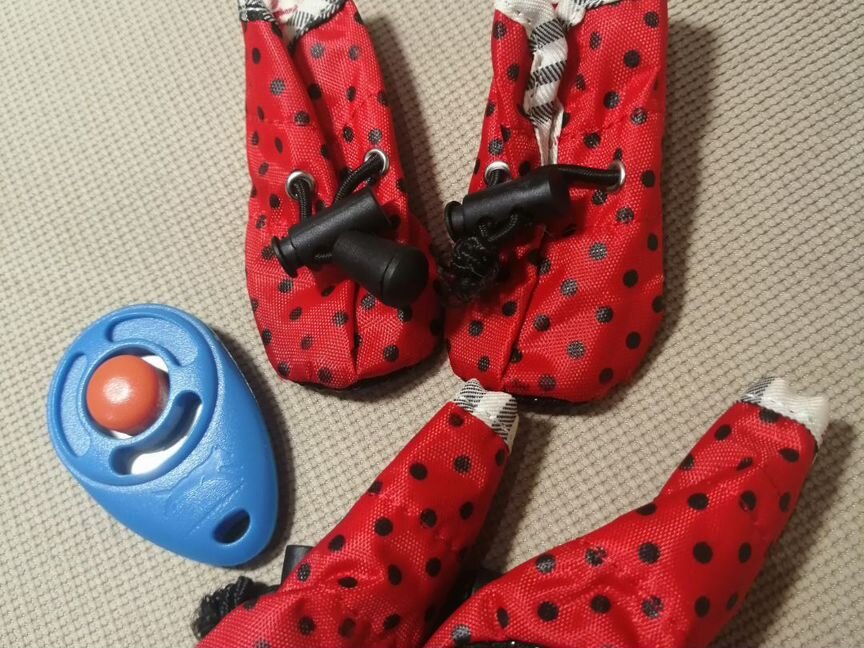 Одежда, обувь для собак мелких пород