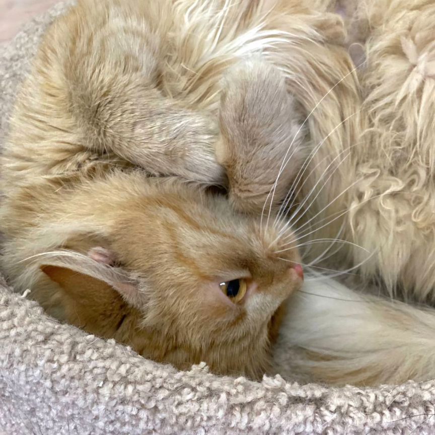 Никто не любит