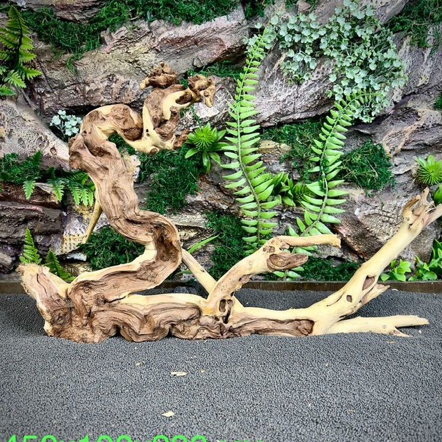 Коралловое дерево/Coral Wood кд682