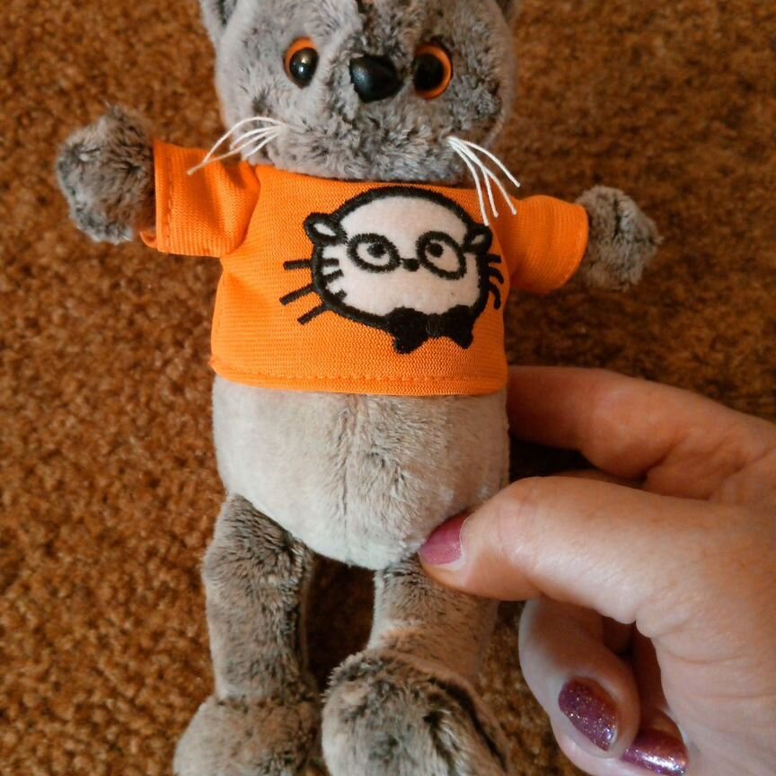 Кот Басик