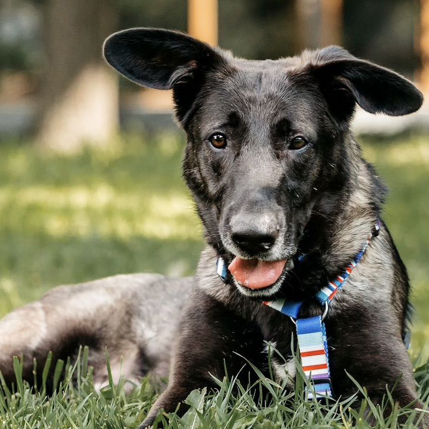 Небольшой и очаровательный мальчик в дар