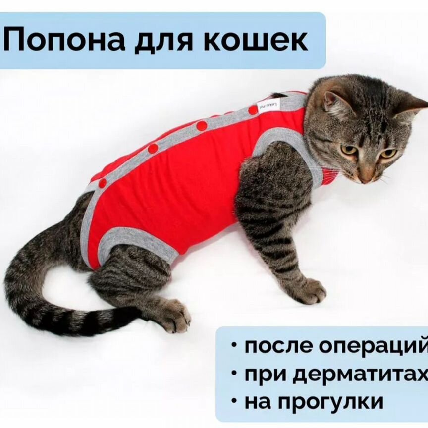 Попона для кошек Leksi Pet (возможен обмен)