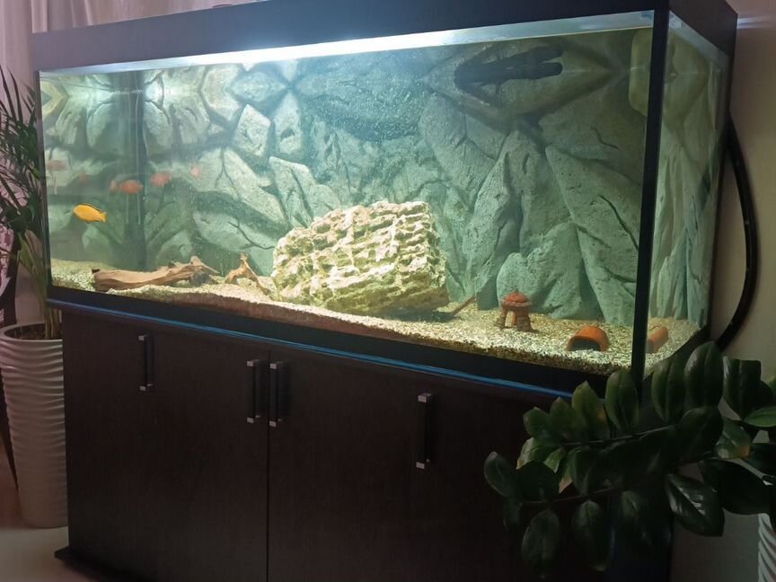 Аквариум с тумбой 600л