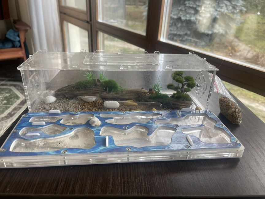 Маравьиная ферма б/у