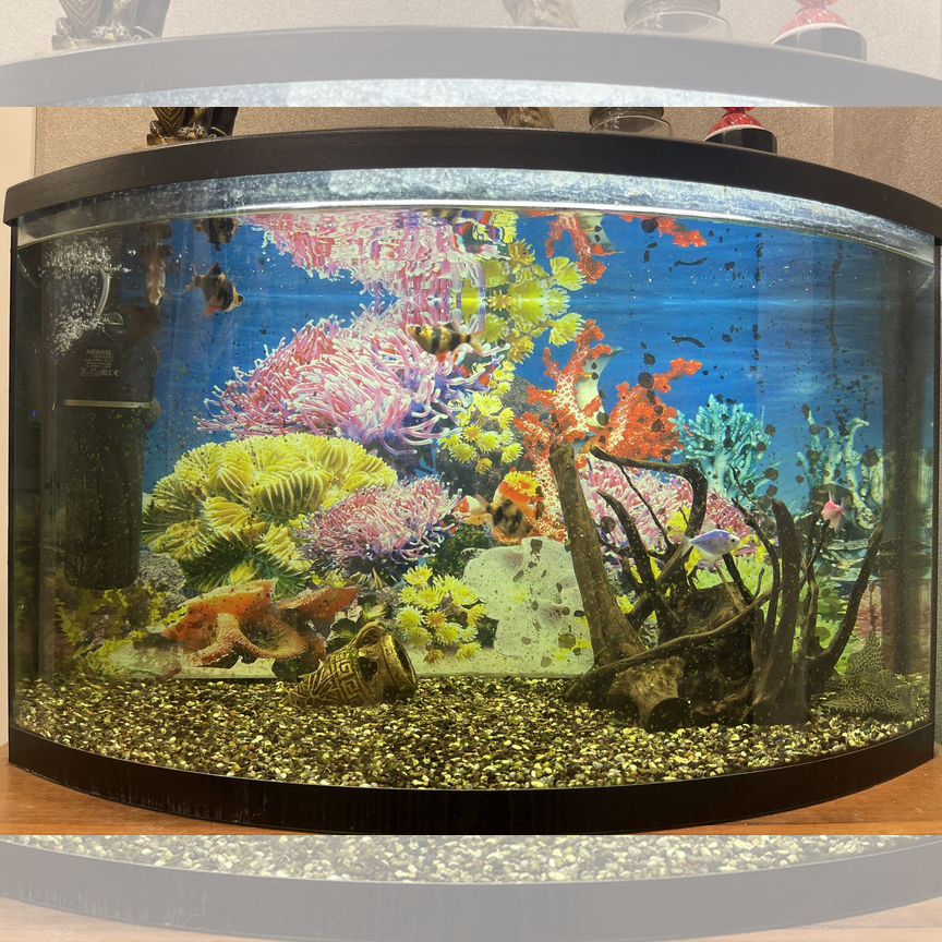 Аквариум с фильтром и рыбками