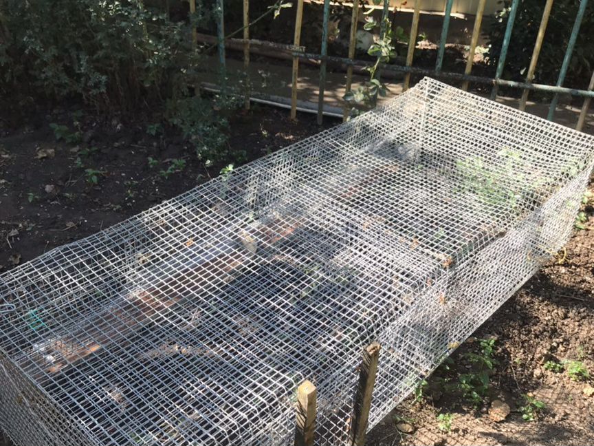 Клетка для цыплят