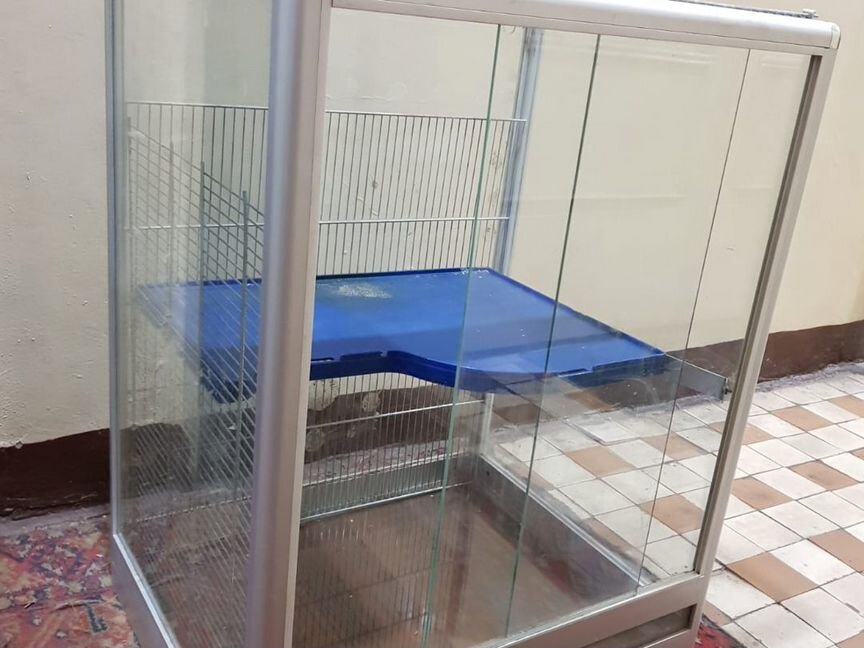 Витрина для грызунов / террариум