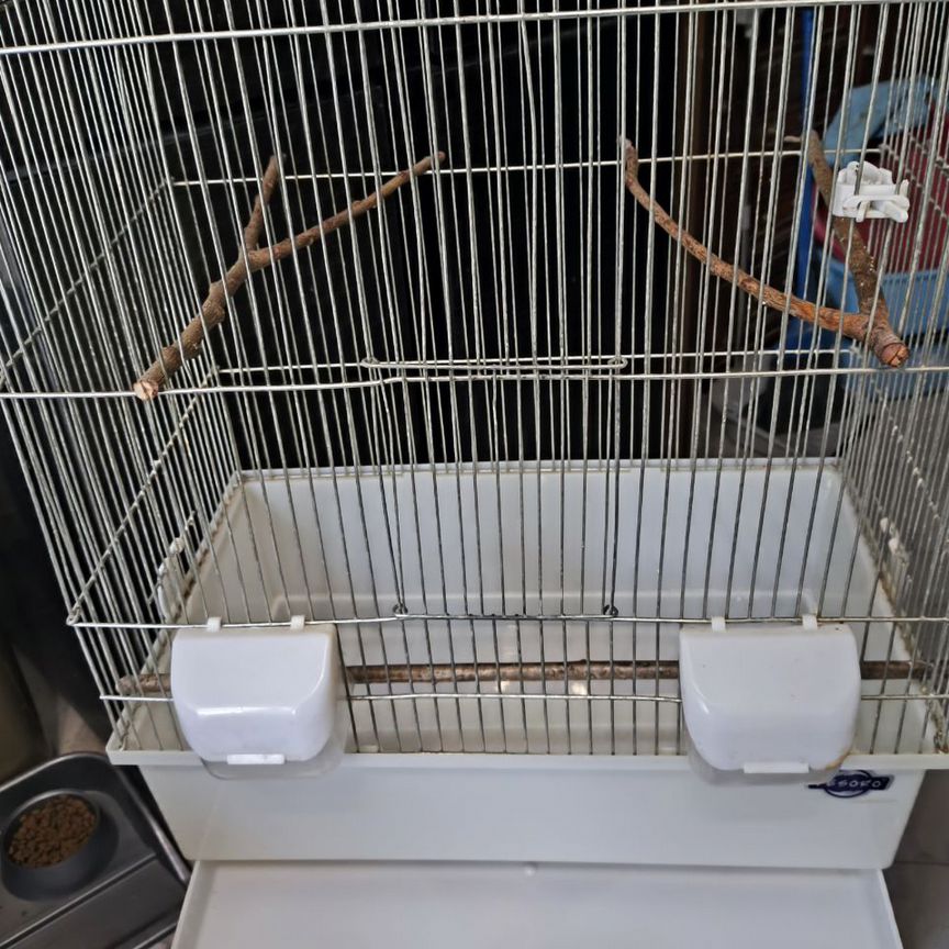 Клетка для попугая амадин