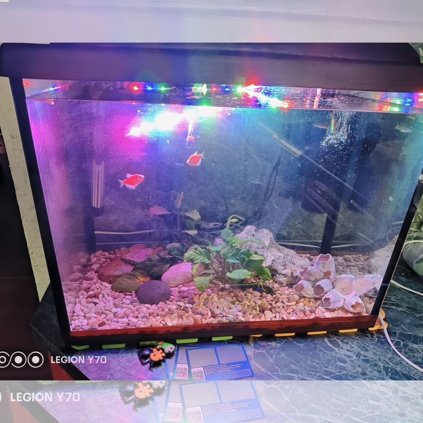 Аквариум 60 литров