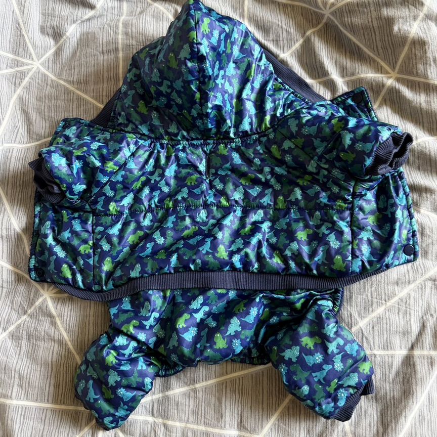 Одежда для собак