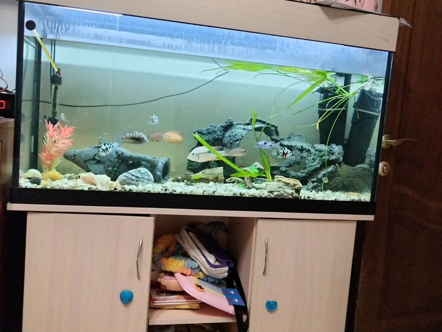 Аквариум с тумбой