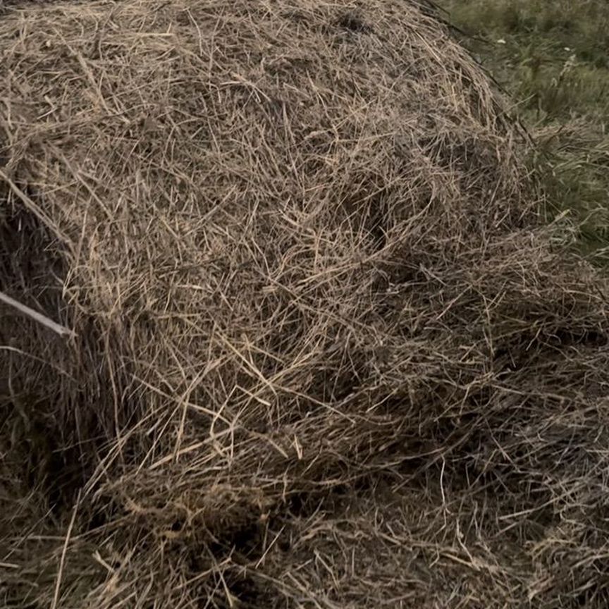 Сено в рулонах