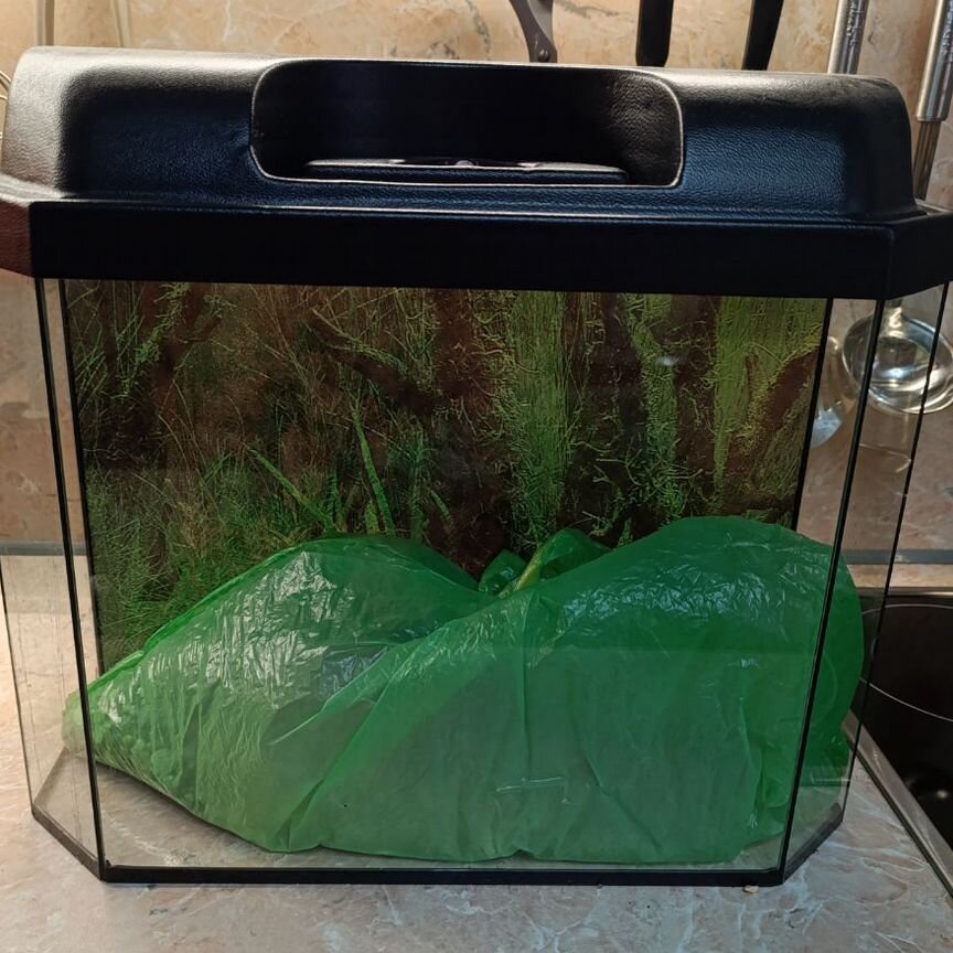 Аквариум 20л   грунт 2 кг