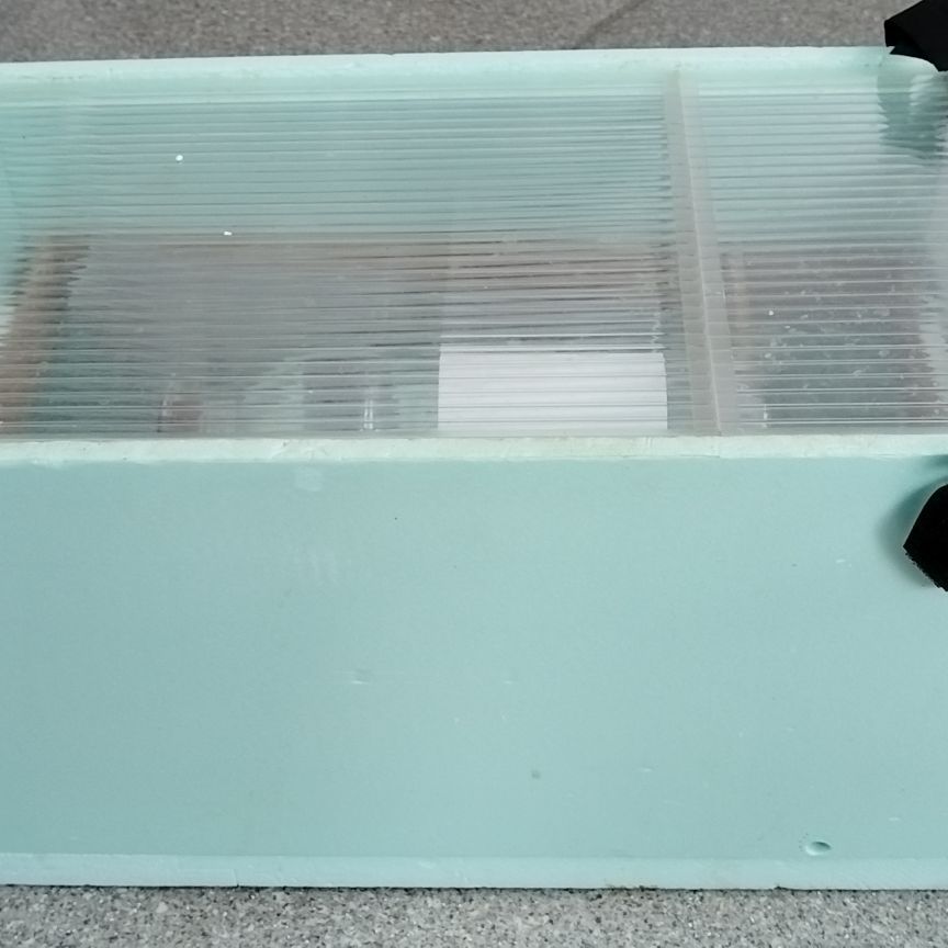 Инкубатор Матрица Дели