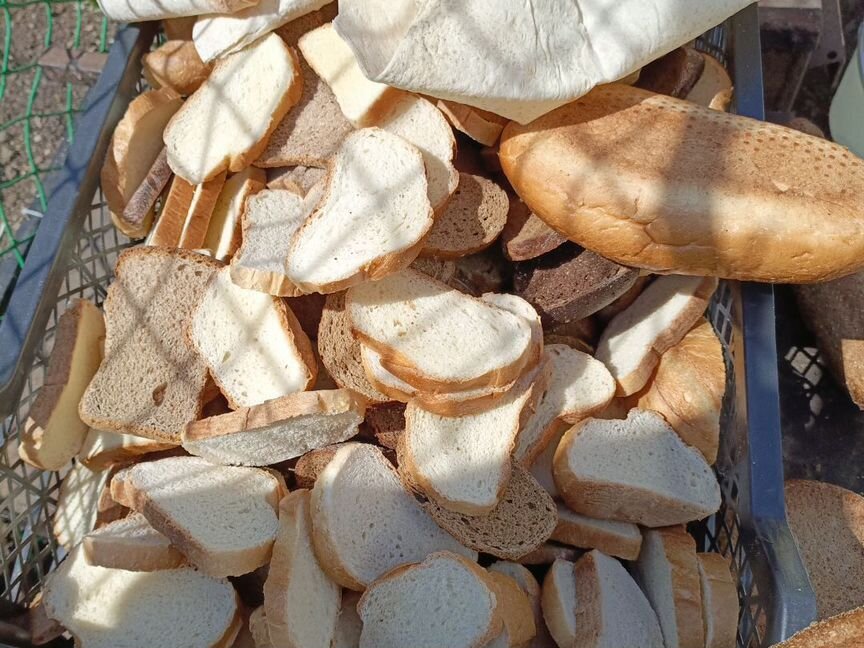 Сухой хлеб