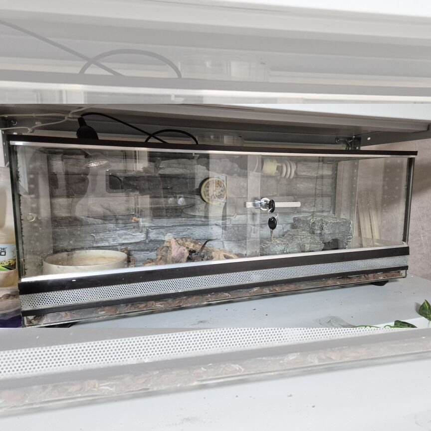 Террариум 80х30х30