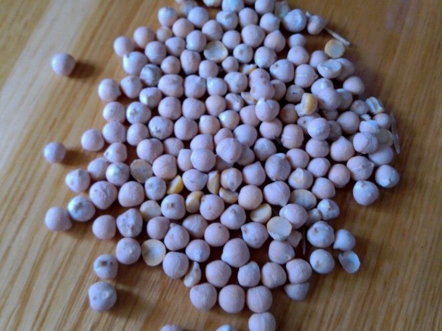 Нут Урожай 2022