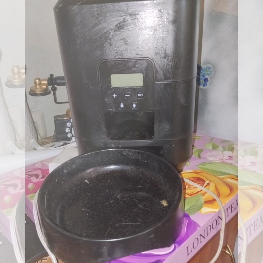 Автоматическая кормушка для кошек