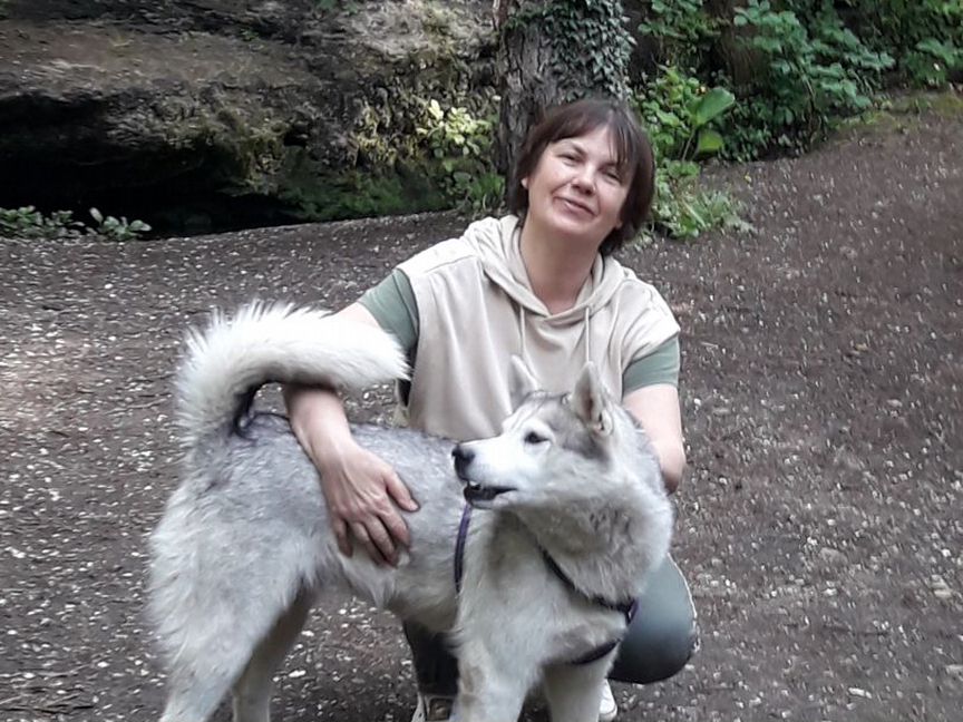 Французский бульдог