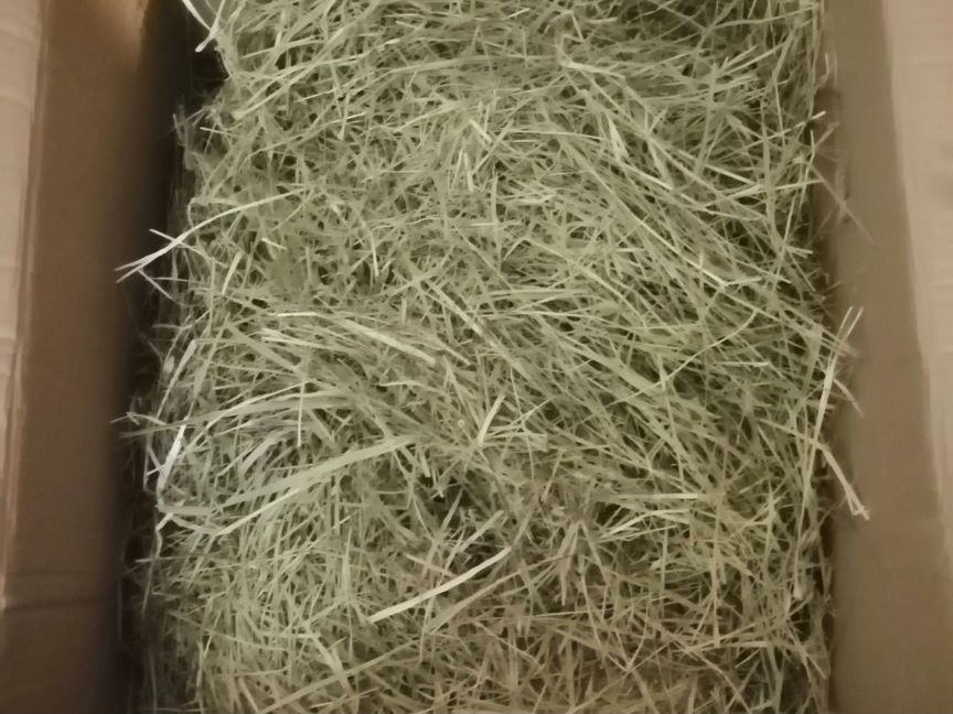 Сено для грызунов