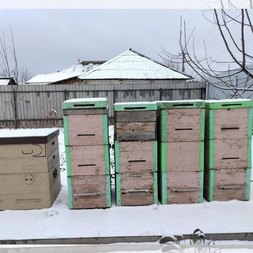 Ульи для пчел бу