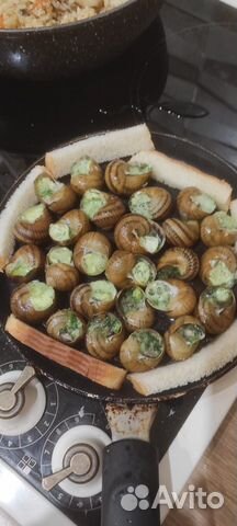 Улитки / малек