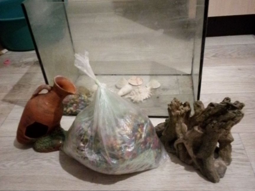 Рыбы и улитки