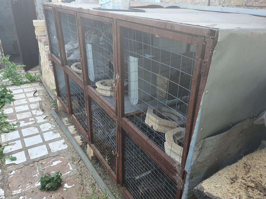 Клетка для кролей или мелких животных