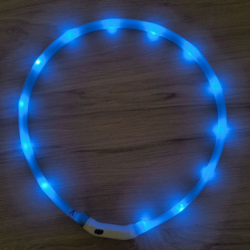 Светящийся ошейник
