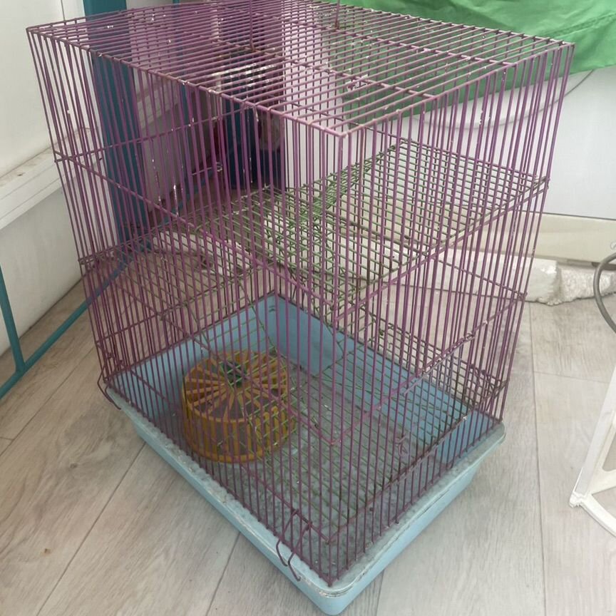 Клетка для грызунов (грязная)