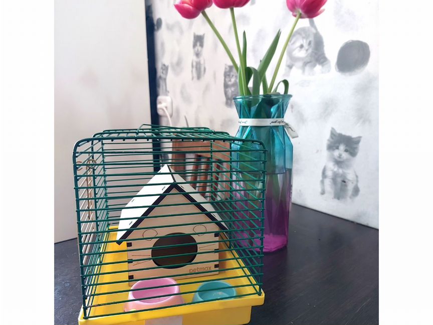 Клетка для грызунов