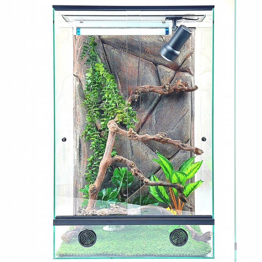 Террариум для хамелеона