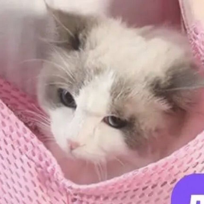 Переноска для животных мягкая