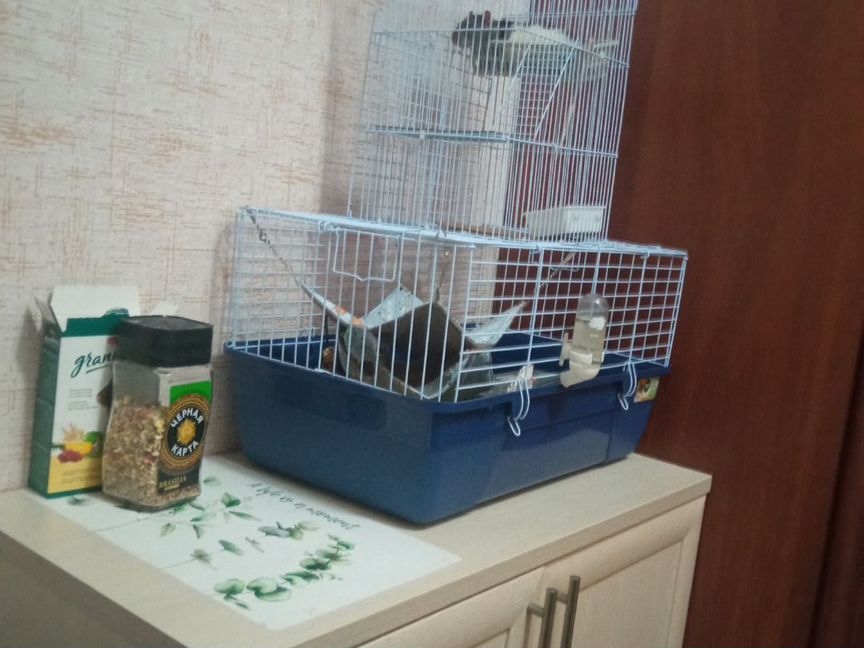 Клетка (пентхаус) для грызунов, 2 штуки