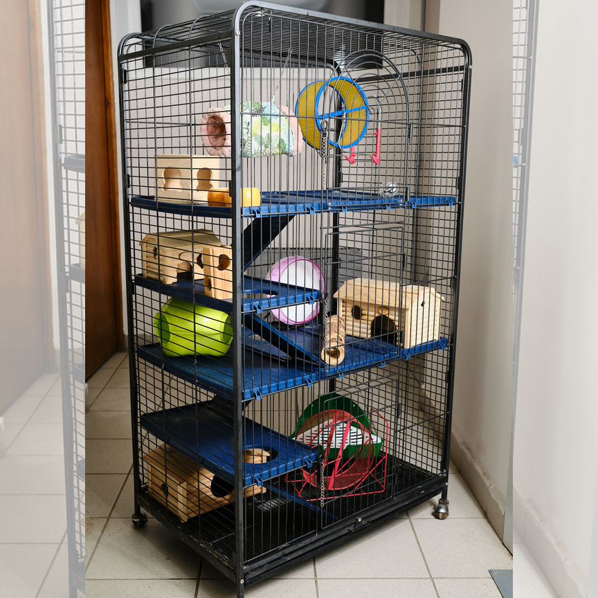 Большая клетка для шиншилл кошек хорьков грызунов