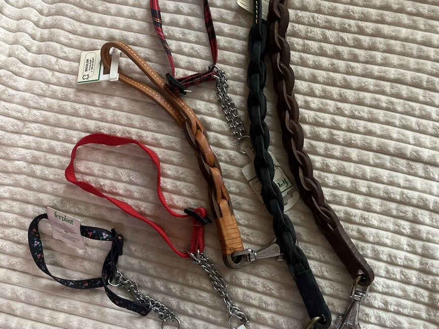 Кожаные поводки и ошейники для собак