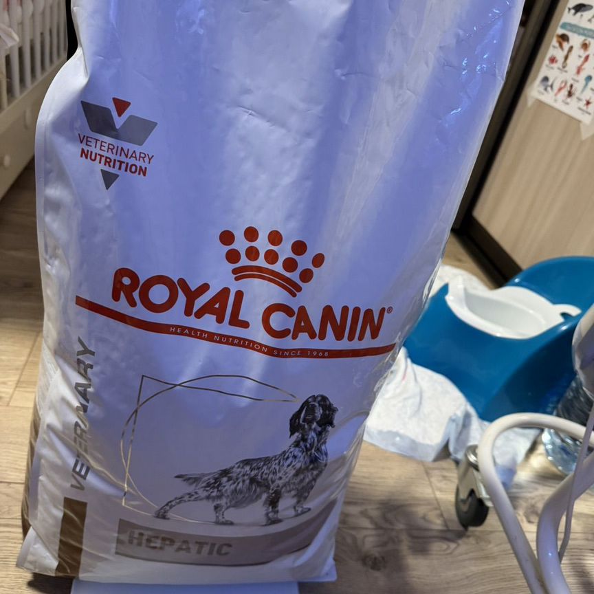 Royal canin hepatic для собак