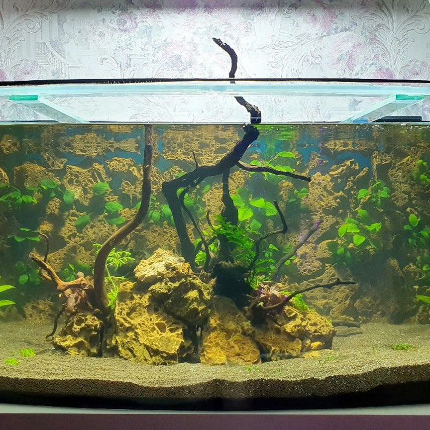 Аквариум с тумбой 500 литров