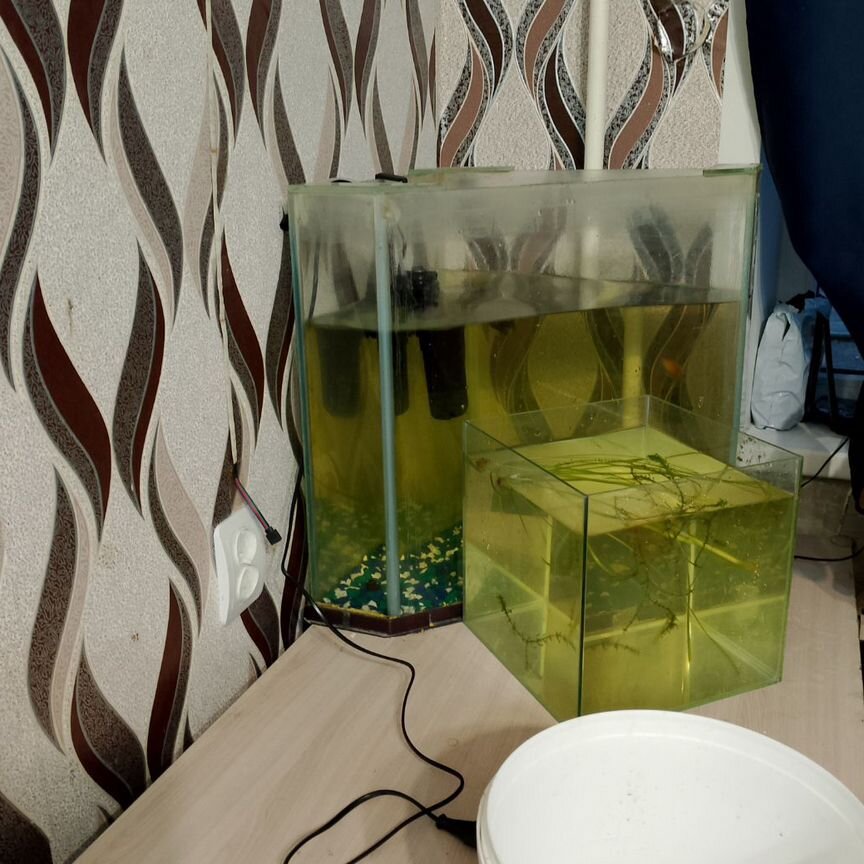 Аквариум угловой с крышкой и поддоном