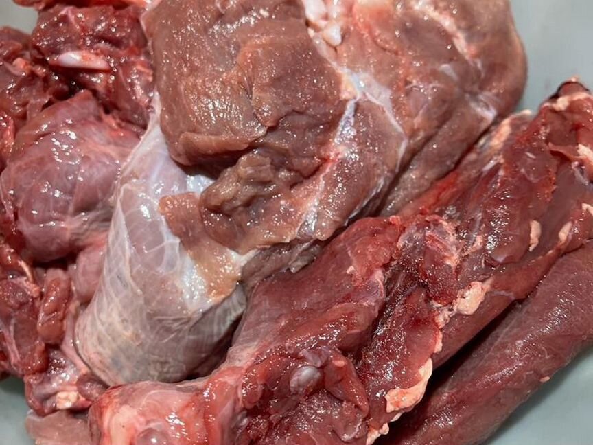 Мясо для собак