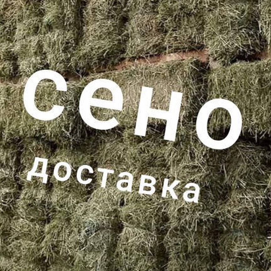 Сено разнотравье брикеты