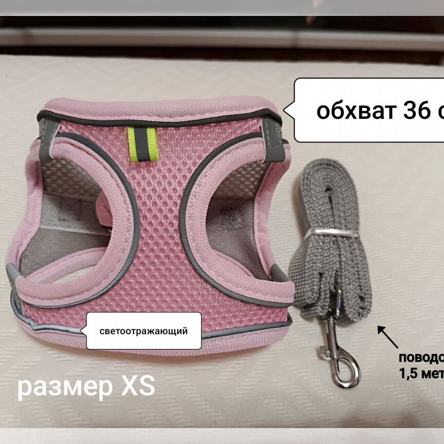 Шлейка для маленькой собаки
