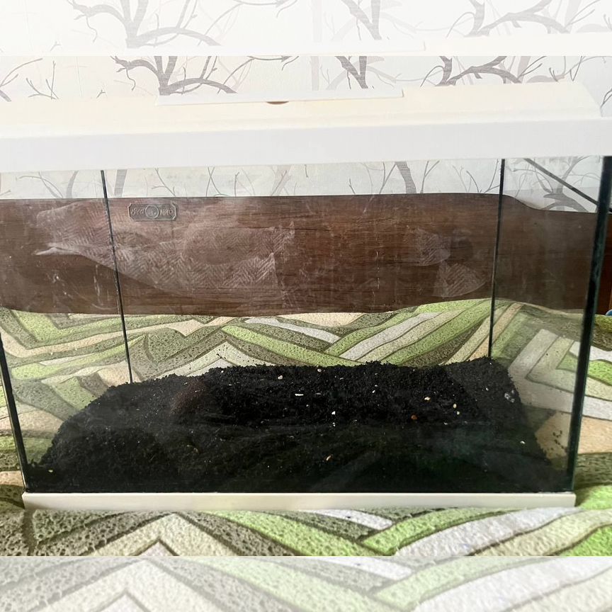 Аквариум 60 литров juwel